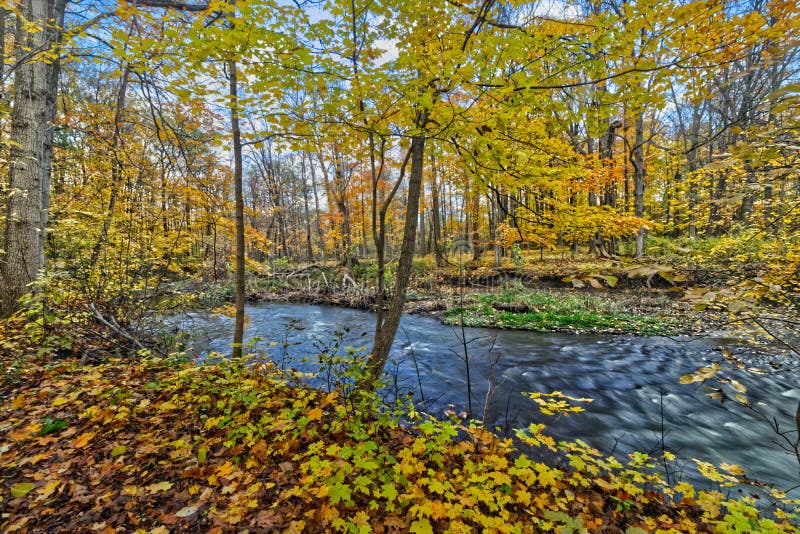 The River Flow with the Fall Foliage Like a Painting - Fall in Central ...