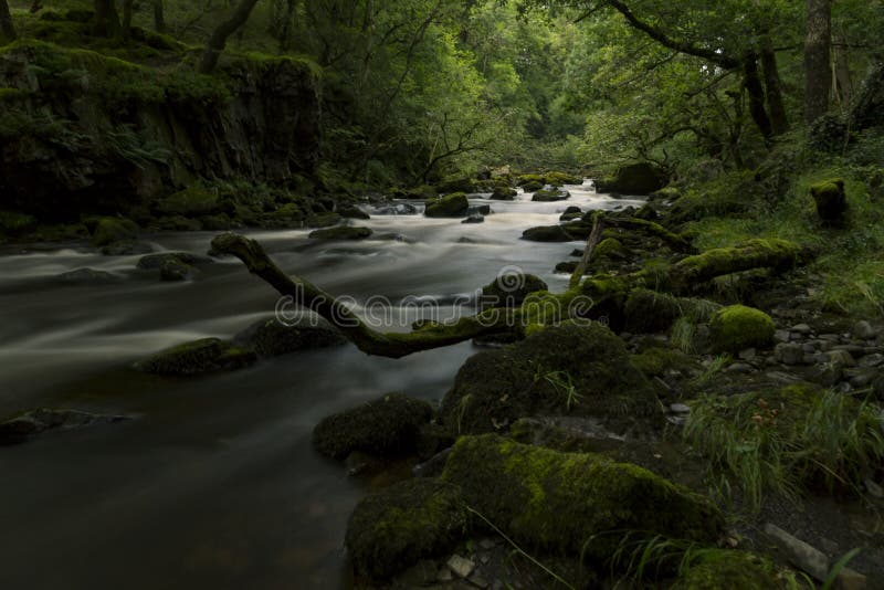 River Flow. stock image. Image of river, green, water - 80569769