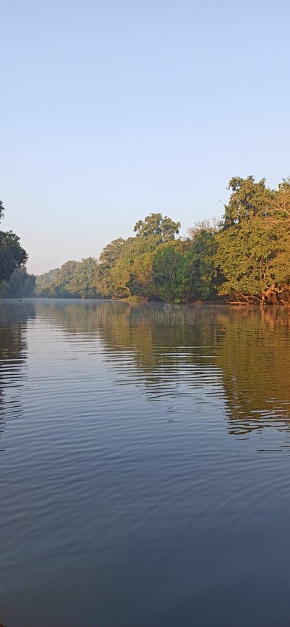 River Flow in Forest stock image. Image of morning, winter - 261107015