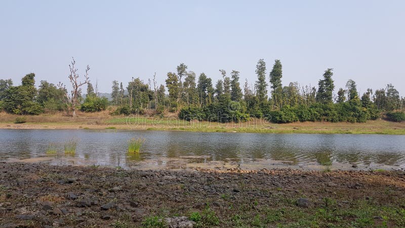 River Flow with Forest at the Back Stock Photo - Image of forest, crisp ...