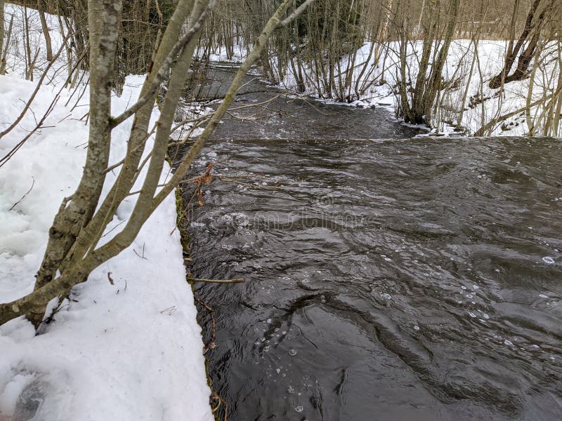 River Flow in the Forest in Early Spring Stock Image - Image of cool ...