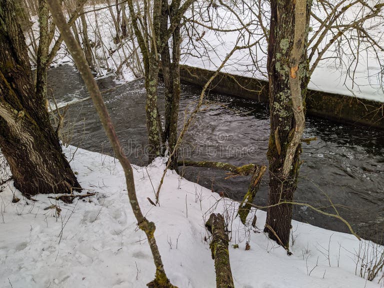 River Flow in the Forest in Early Spring Stock Image - Image of blue ...