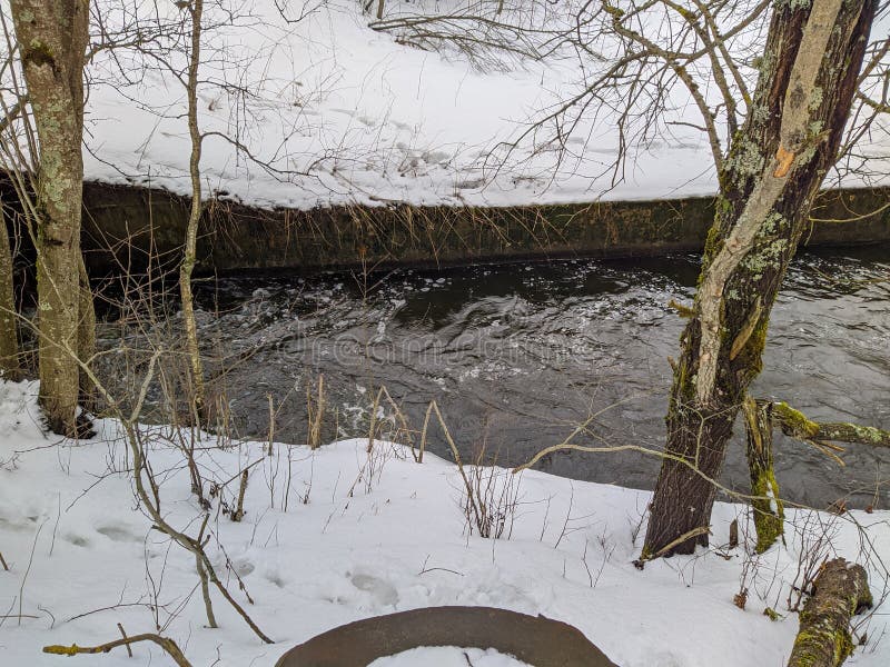 River Flow in the Forest in Early Spring Stock Photo - Image of ...