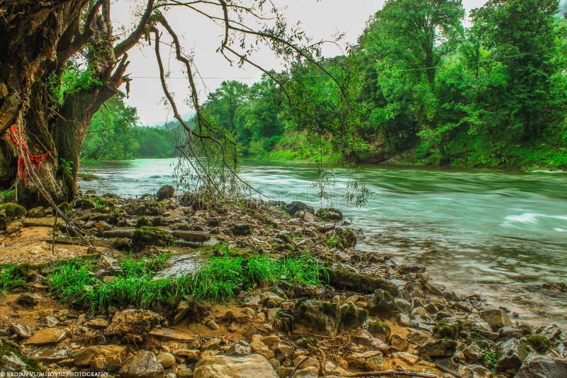River flow in the forest stock image. Image of flowing - 62536933