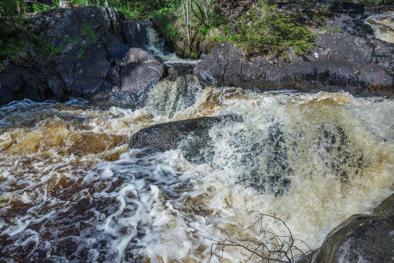 River flow in the forest stock photo. Image of outdoor - 126538616