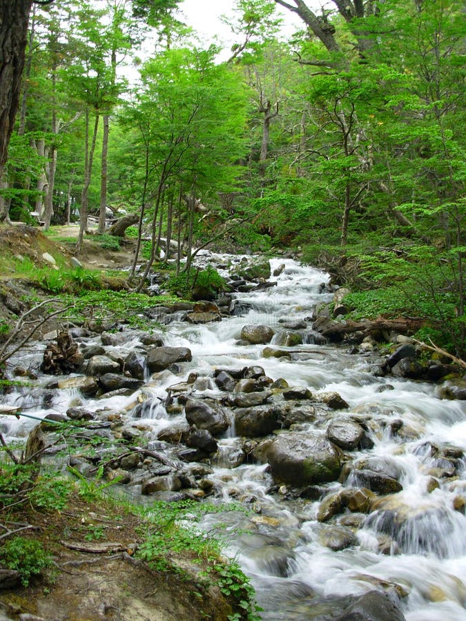 River flow in the forest stock photo. Image of argentina - 89292532