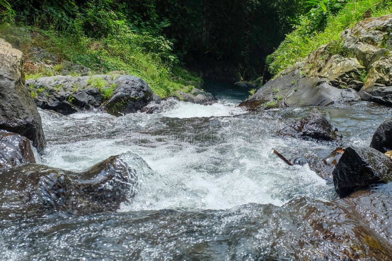 River Flow Inside the Forest. Stock Photo - Image of outdoor, nature ...