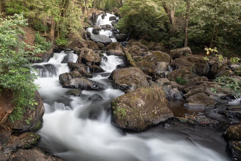River Flow in the Middle of the Forest, Silk Effect Forest Stock Image ...