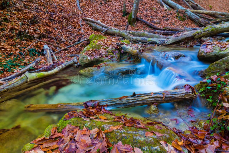 River Flow through the Mountain Canyon Covered by Red Dry Leaves Stock ...