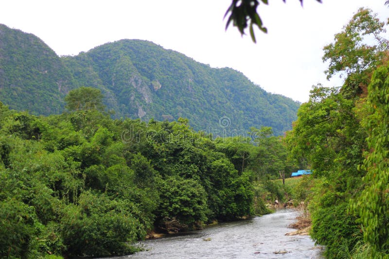 River Flow Over Small Rocks in the Middle of Forests and Mountains ...