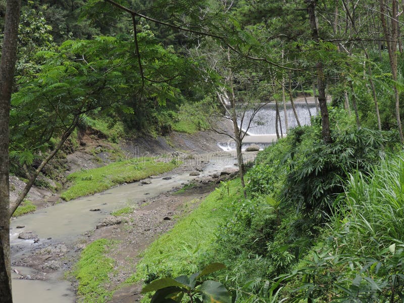 River Flow Path from the Mountains Stock Photo - Image of river, tree ...