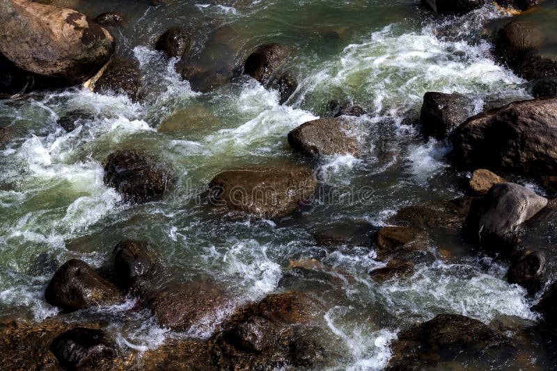River flow stock photo. Image of brook, natural, green - 255220332