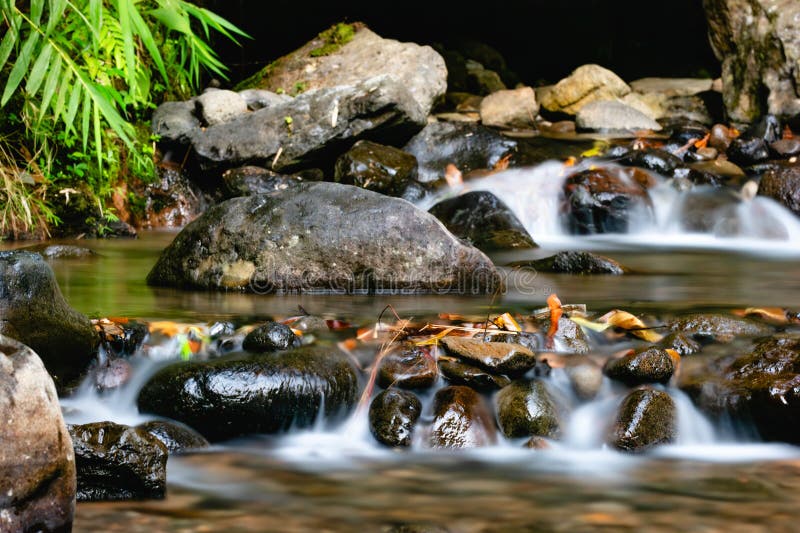 River Flow on Rocky River. Beautiful Landscape of Mountain River Stream ...