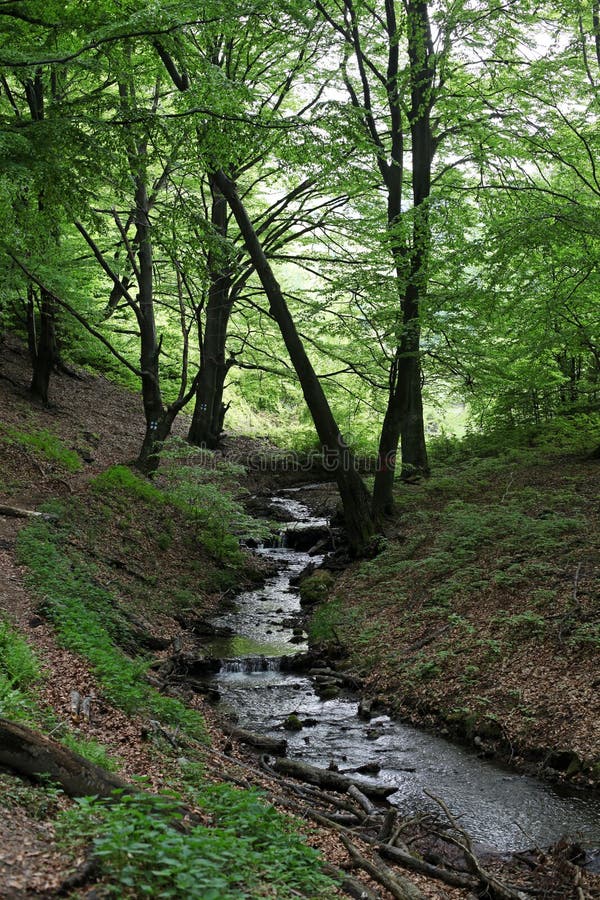 River Flow in Spring Mountains Landscape Stock Photo - Image of flow ...
