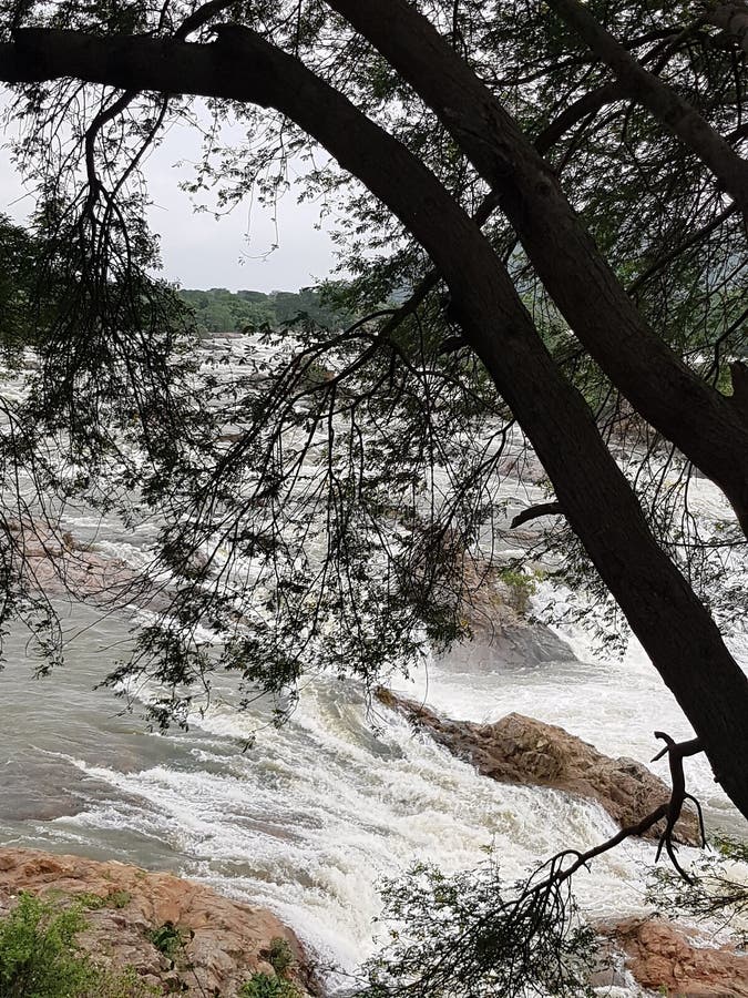 River Flow, Trees, Water, Branches, Sky, Scenery, Stock Image - Image ...