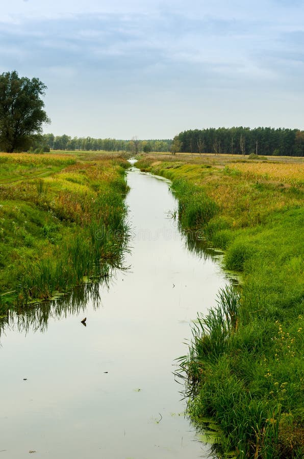 The River Flowing Along the Green Field. Stock Image - Image of ...