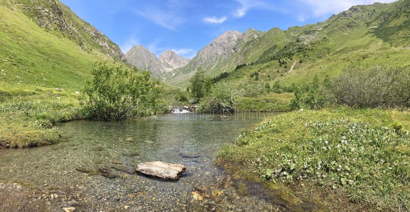 Alpine Torrent Flowing in a the Rocks Stock Image - Image of water ...