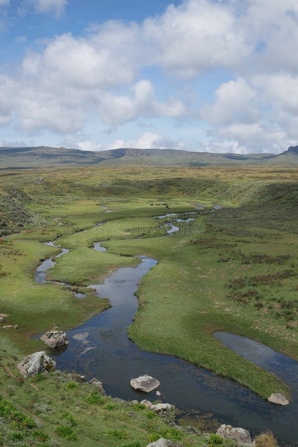 River Flowing through Bale National Park in Ethiopia Stock Photo ...