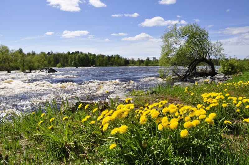 River flowing downstream stock photo. Image of blue, beautiful - 14469172
