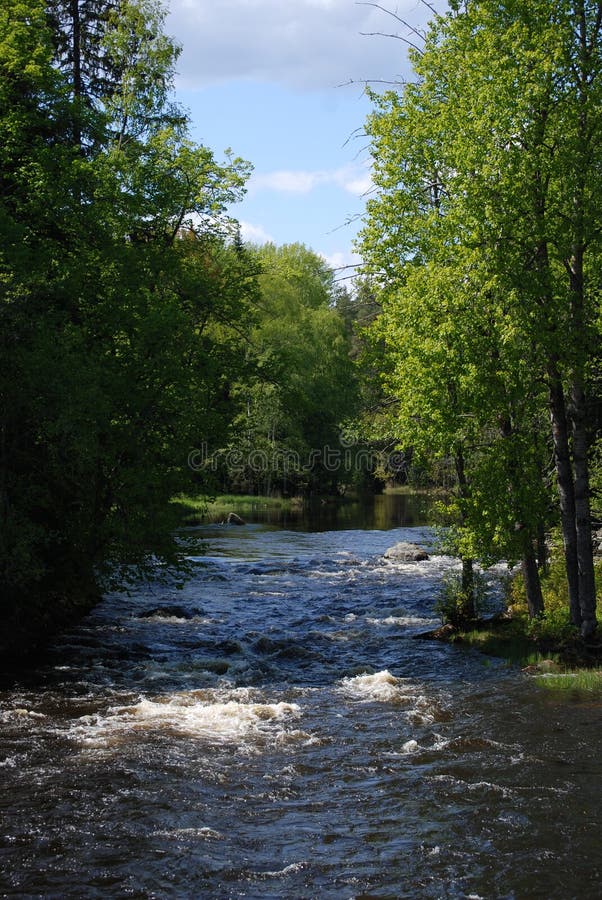 River Flowing Downstream stock photo. Image of stream - 5332976