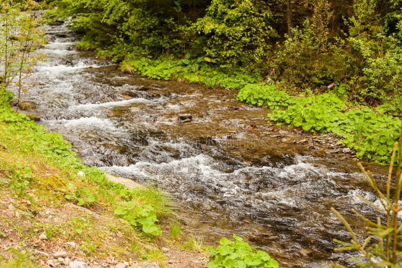 The River is Flowing Downstream Stock Photo - Image of terrain, leaves ...
