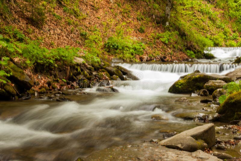 The River is Flowing Downstream Stock Photo - Image of terrain, leaves ...