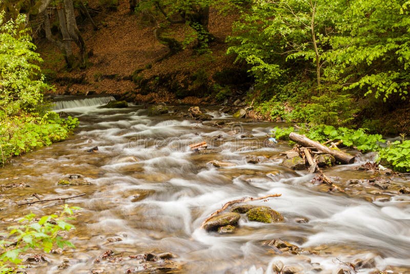 The River is Flowing Downstream Stock Image - Image of terrain, natural ...