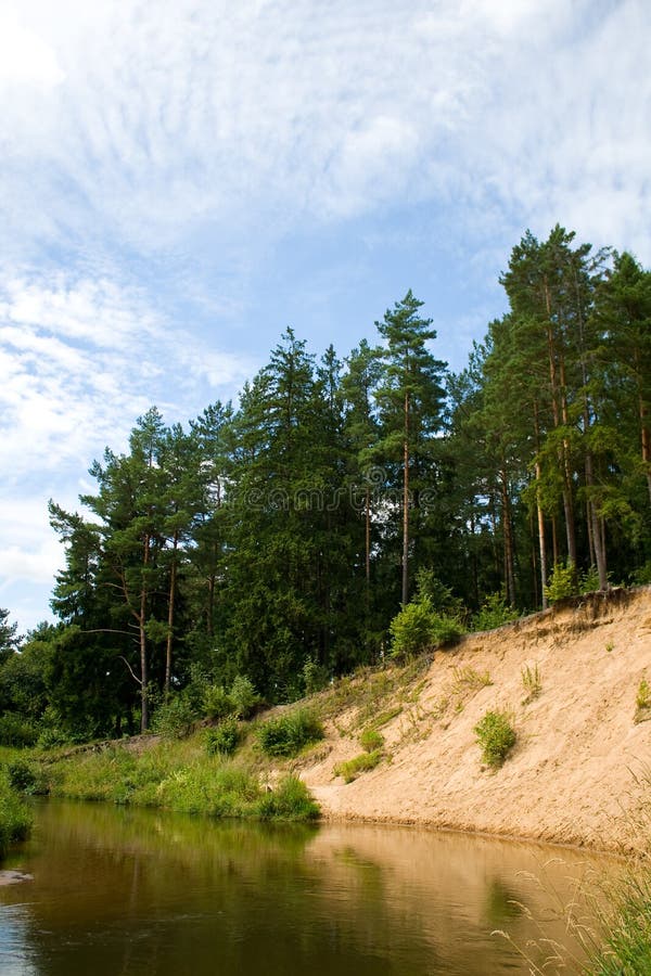 River Flowing through the Forest Stock Image - Image of nature, tree ...