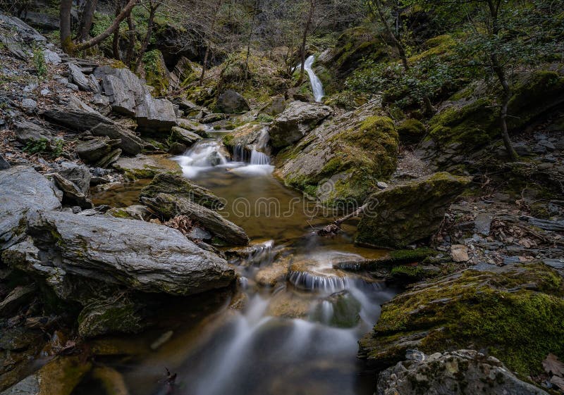 River flowing in a forest stock photo. Image of background - 261682842