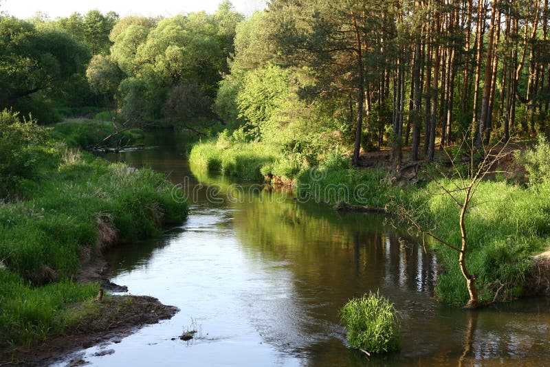 Narrow river stock image. Image of wood, narrow, fish - 29781707