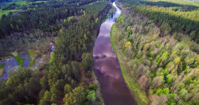 River Flowing through Forest Stock Photo - Image of region, bank: 74087238