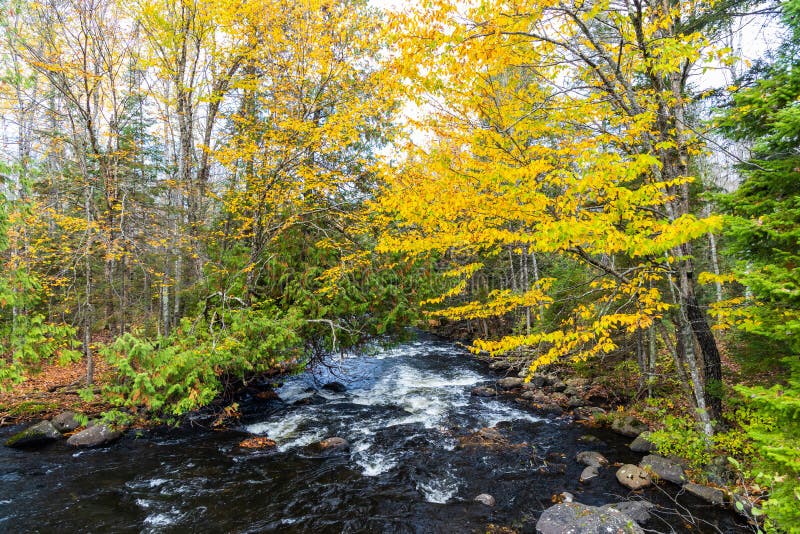River Flowing in a Forest in the Fall Colors Stock Image - Image of ...
