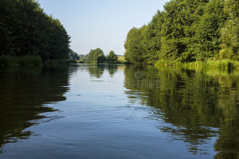 River flowing in forest stock image. Image of nature - 76212087