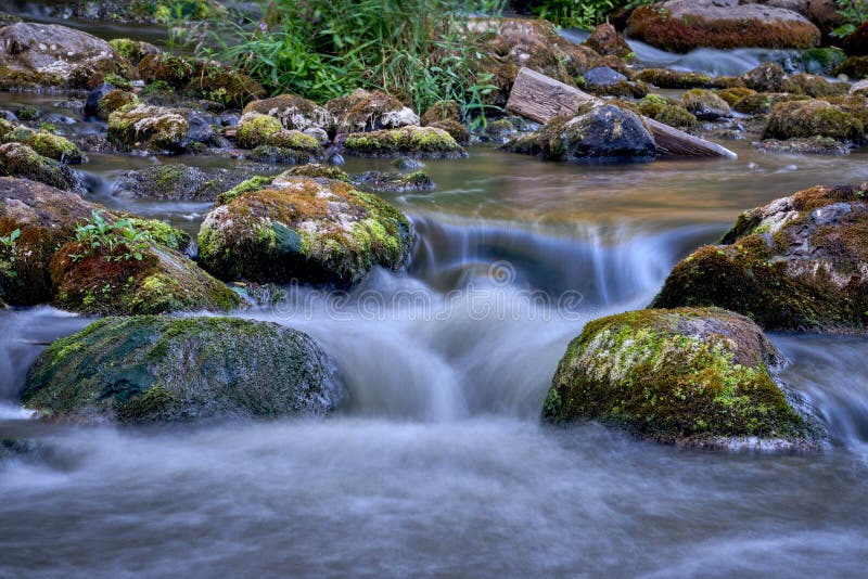 River Flowing in Forest in Summer Day Stock Image - Image of rock ...