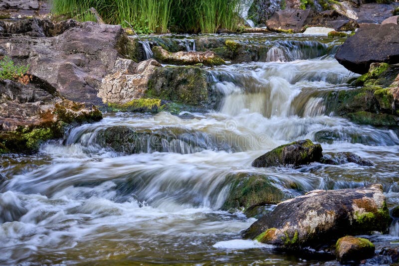 River Flowing in Forest in Summer Day Stock Photo - Image of water ...