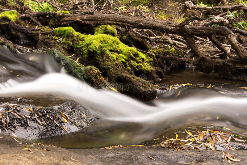 River flowing Moss stock photo. Image of flowing, rock - 91629738