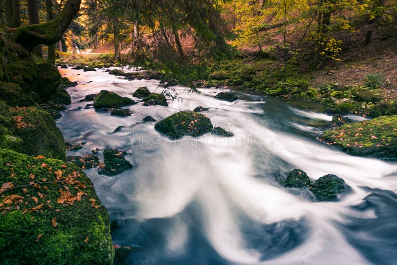 River Flowing through Mossy Rocks in Park Forest with Autumn Fol Stock ...