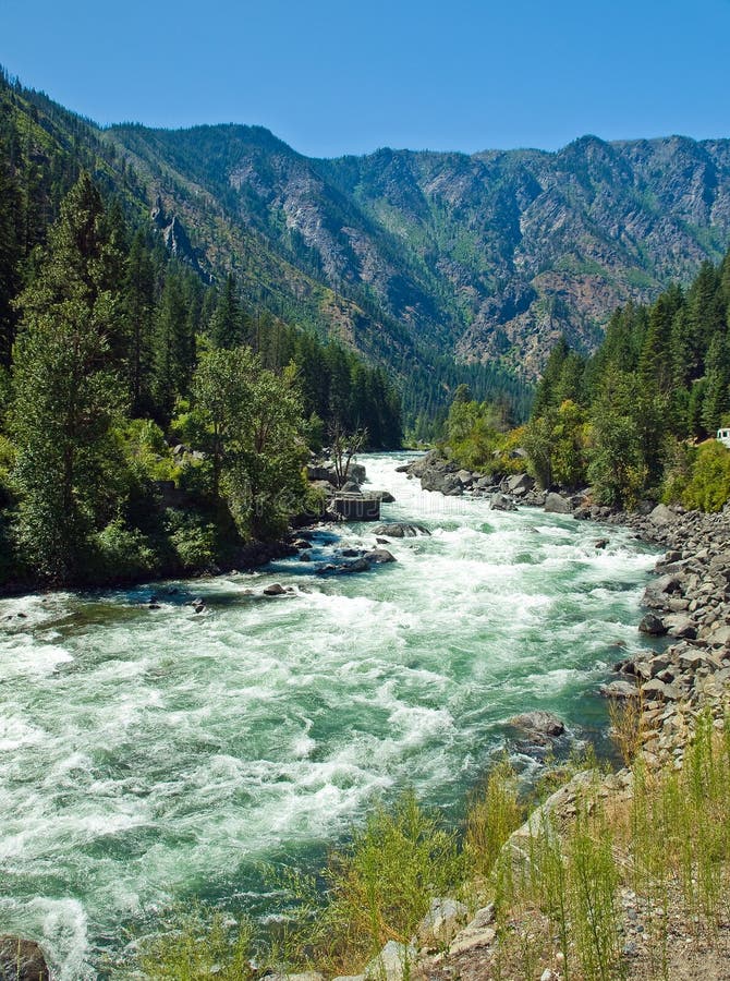 A River Flowing through a Mountain Forest Stock Image - Image of ...