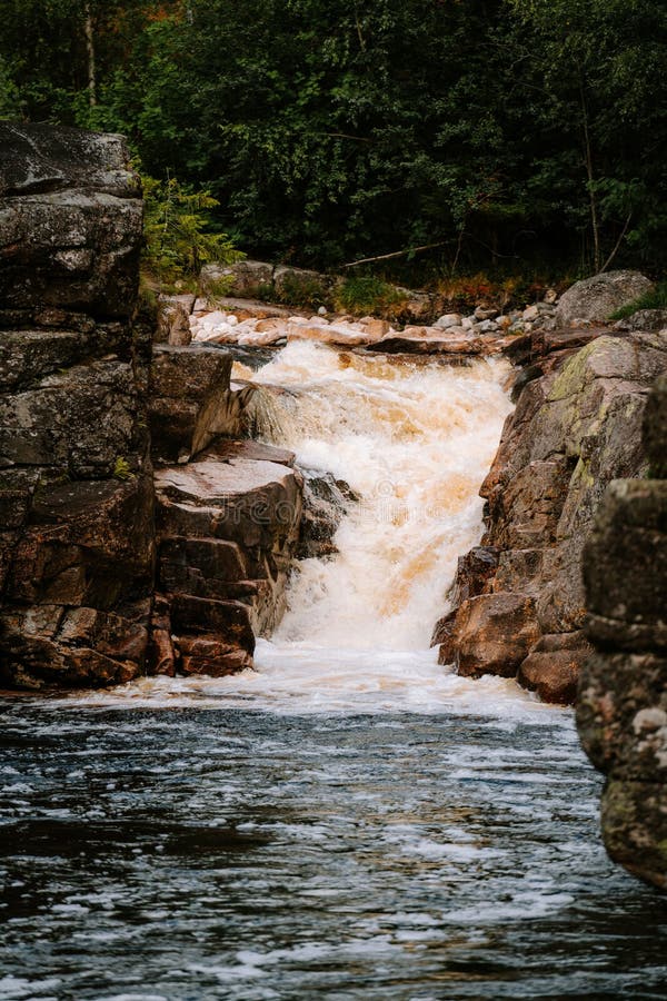 River Flowing Over Rocks Surrounded by Trees Stock Photo - Image of ...