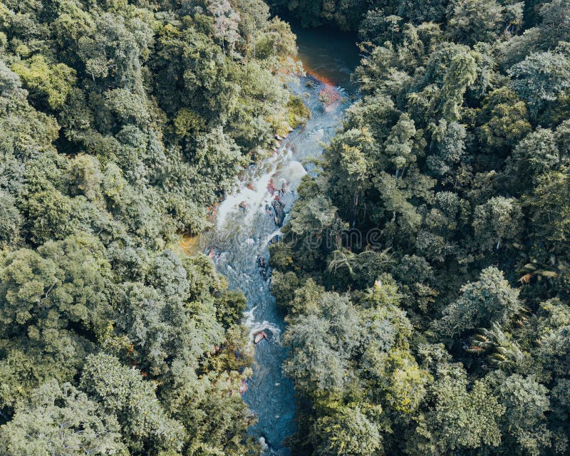 River Flowing in the Rainforest Jungle. Aerial View Stock Photo - Image ...
