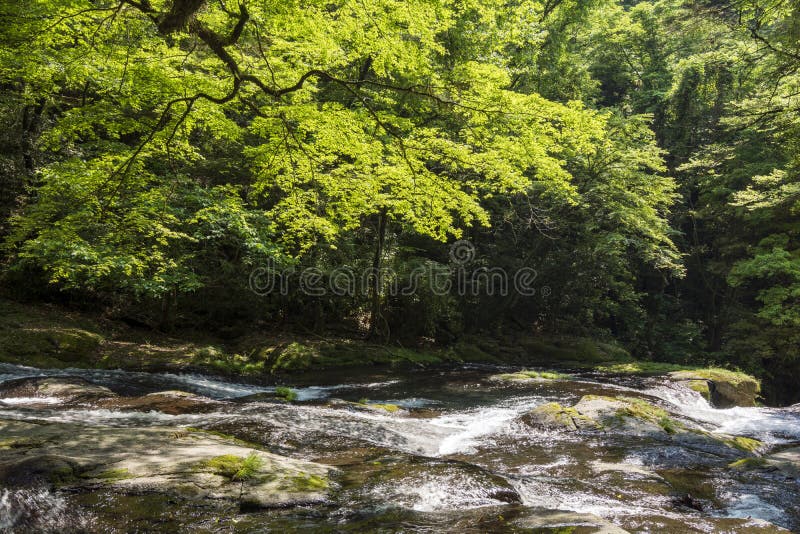 River flowing rock slope stock image. Image of nature - 66830437