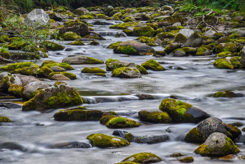 River Flowing through Rocks with Green Moss on Them Stock Photo - Image ...