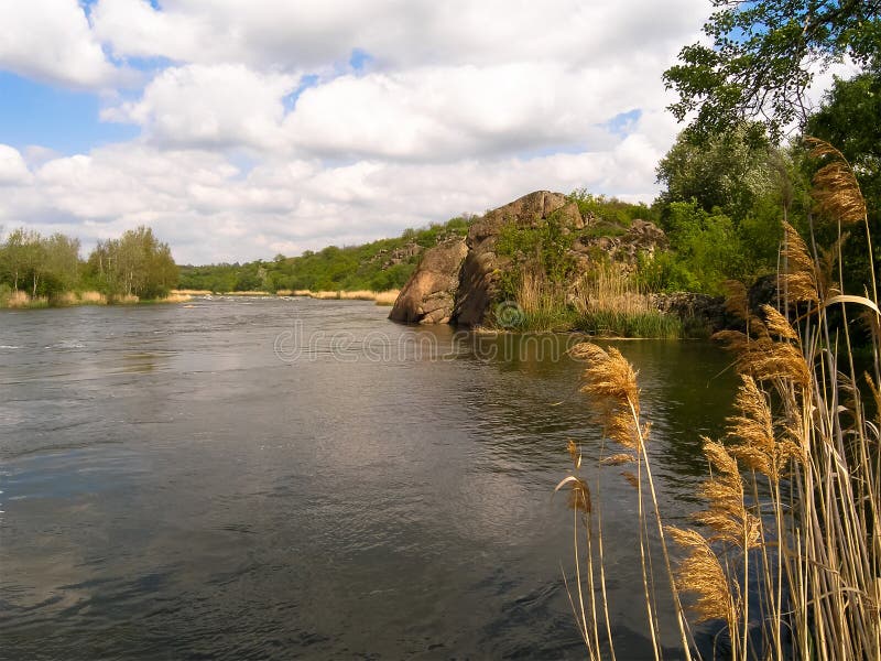 River Flowing among the Rocks Stock Photo - Image of forest, summer ...
