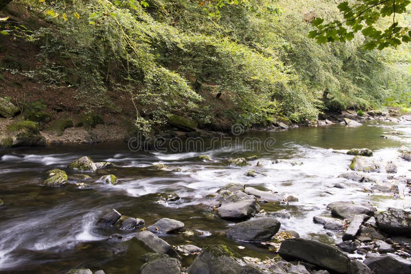 River Flowing with Rocks and Trees Stock Photo - Image of nature ...