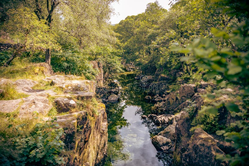 River Flowing between Rocky Cliffs with Green Trees Stock Image - Image ...