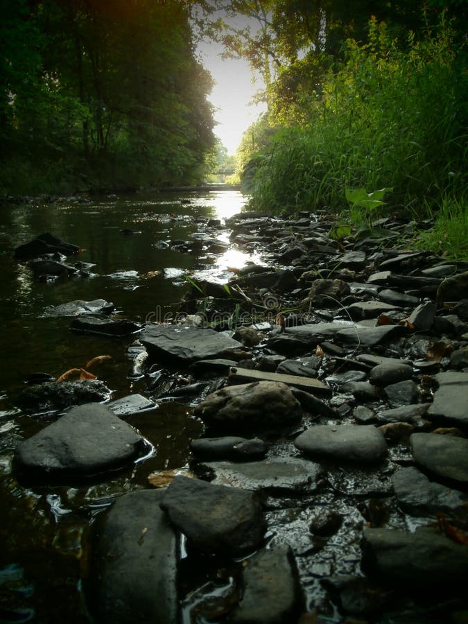 River stock photo. Image of rivulet, water, brook, natural - 55741434