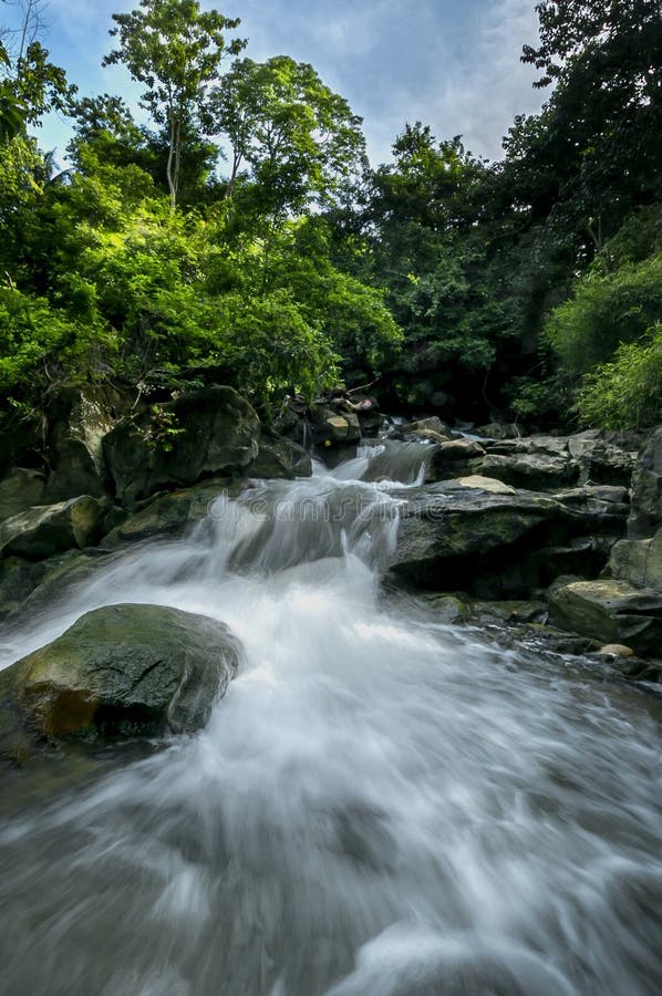 River Flowing in a Tropical Forest with Rocks and Trees Around it ...
