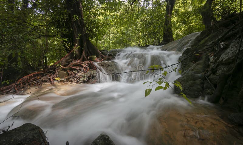 River Flowing in a Tropical Forest with Trees Around it. Editorial ...