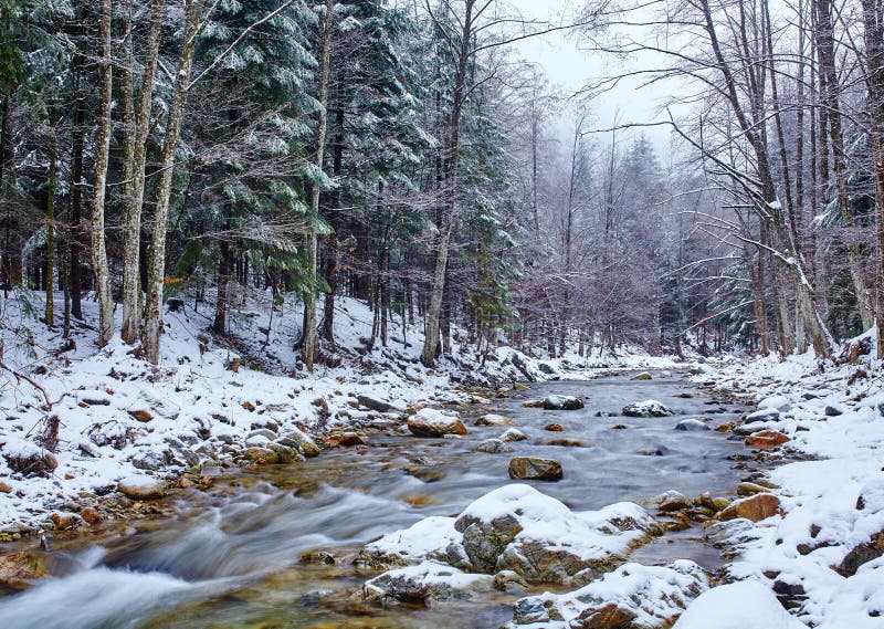 River Flowing Trough the Forest on Wintertime Stock Image - Image of ...