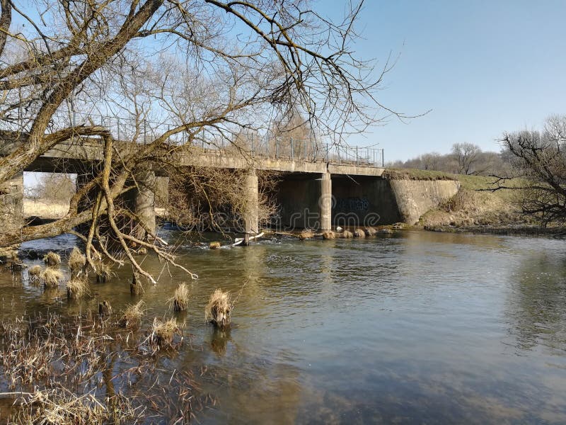 River Flowing Under the Bridge Stock Image - Image of travel, tree ...